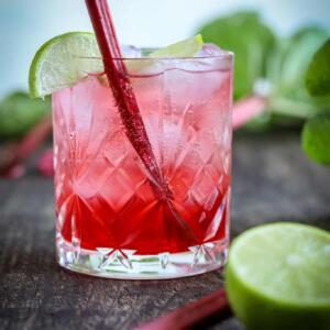 Rabarbergin - Hjemmelavet gin med rabarber - Gastry.dk